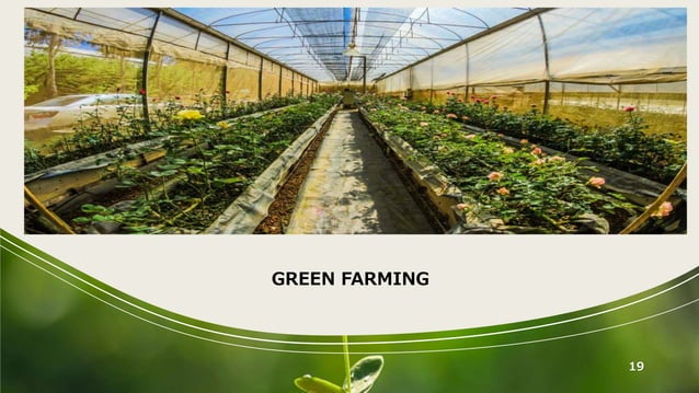 IOT based smart agriculture monitoring.pptx