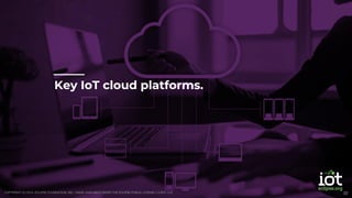 IoT Developer Survey 2019 Report | PDF