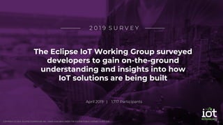 IoT Developer Survey 2019 Report | PDF
