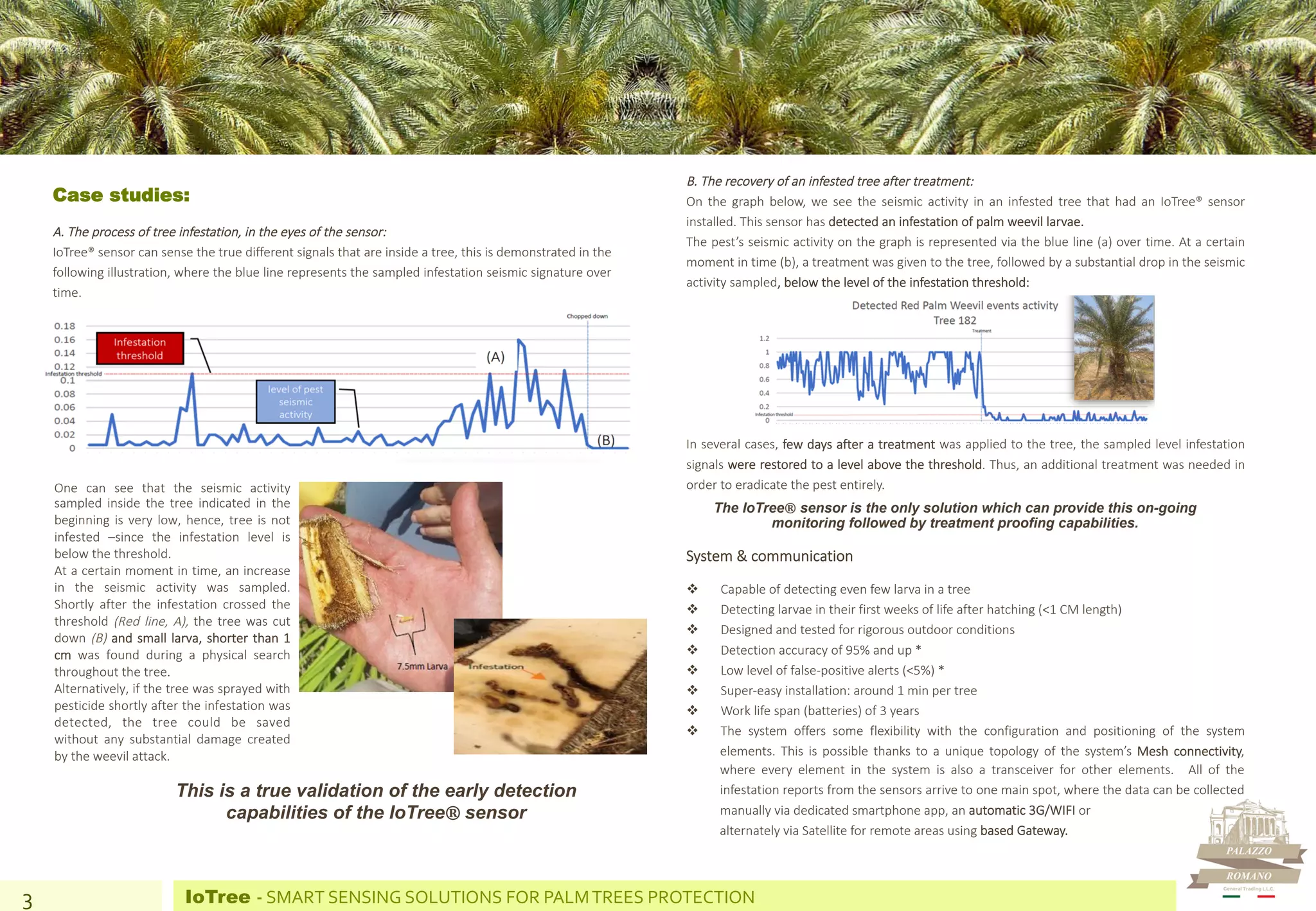 Io tree brief presentation en | PPT