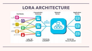 the connection of iot with lora pan which enable | PPT