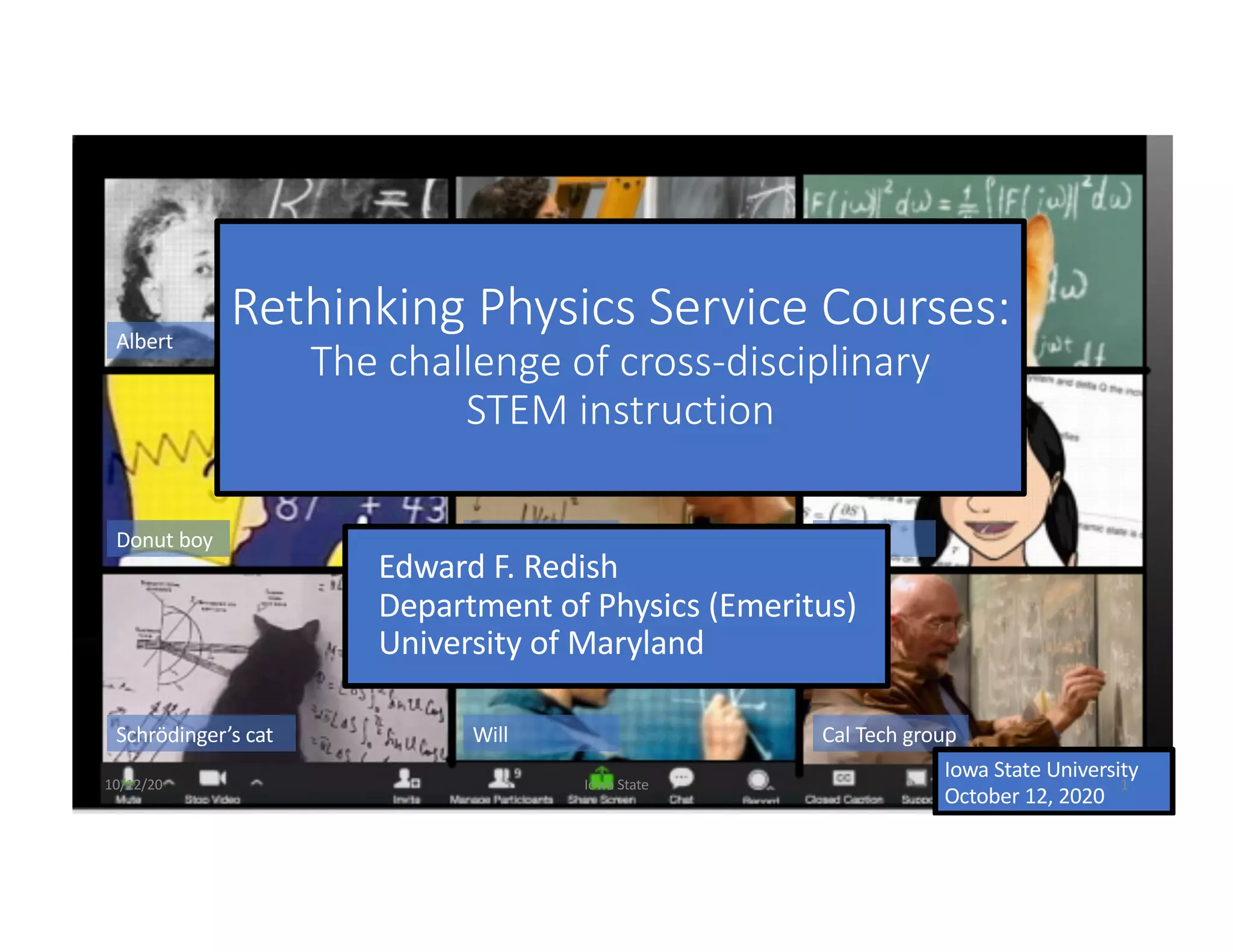 Rethinking Physics Service Courses: The challenge of cross-disciplinary STEM instruction | PDF