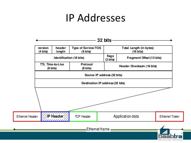 IP Address