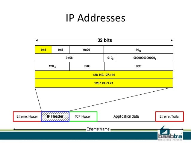 IP Address