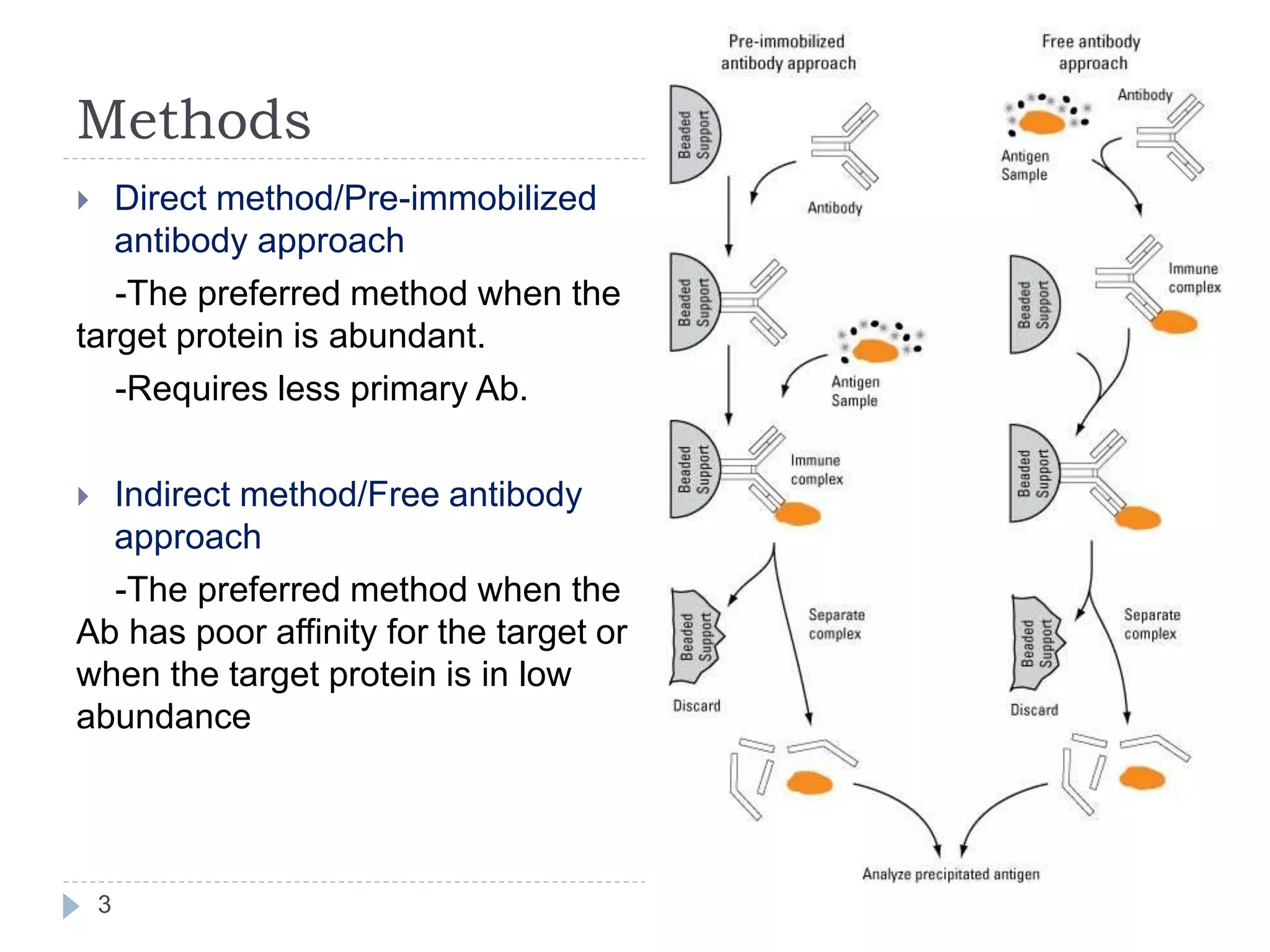 IMMUNOPRECIPITATION | PPTX