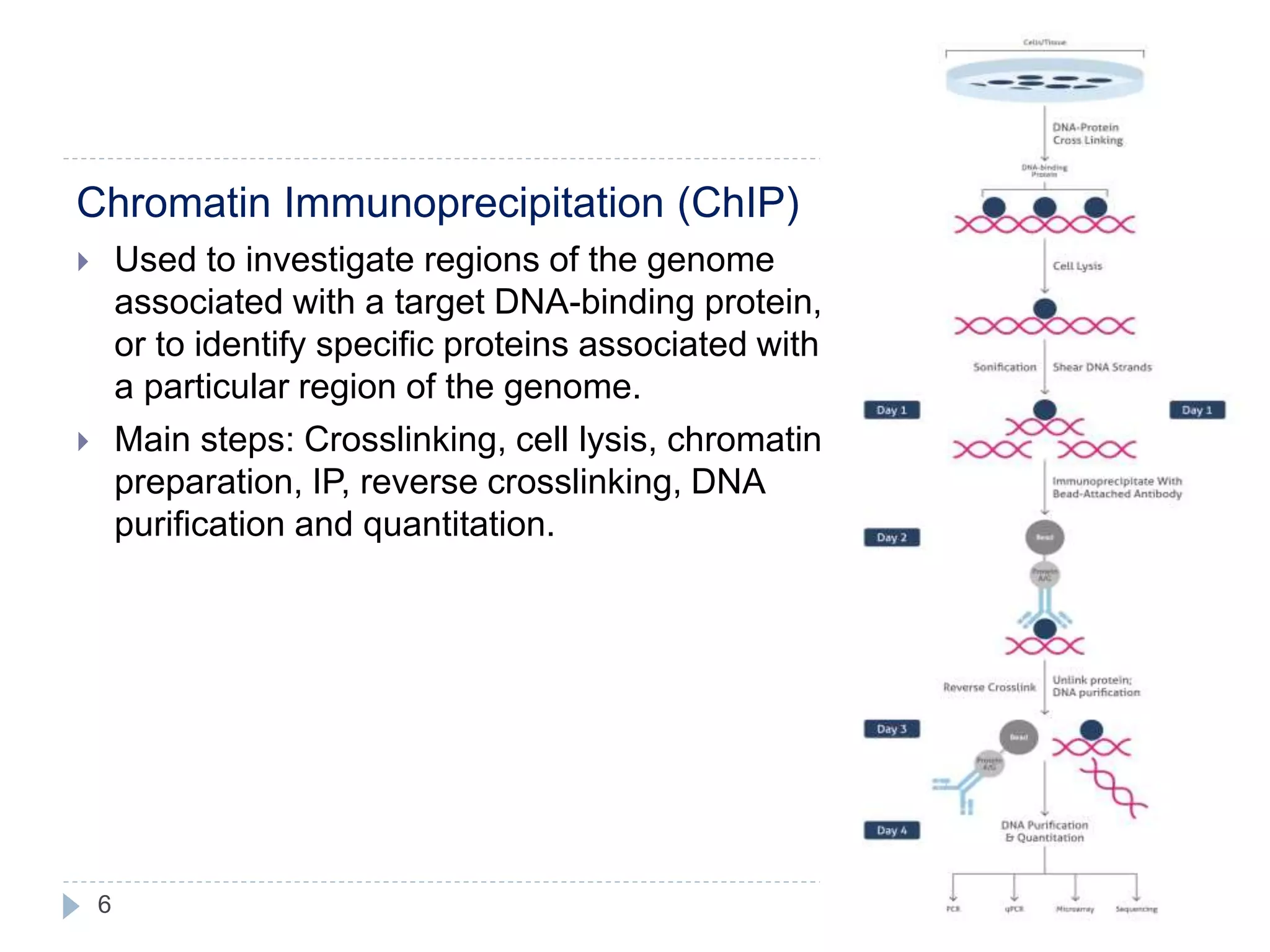 IMMUNOPRECIPITATION | PPTX