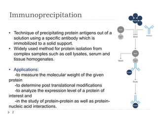 IMMUNOPRECIPITATION | PPTX