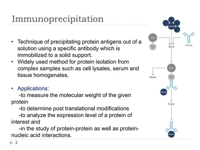IMMUNOPRECIPITATION | PPTX | Chemistry | Science