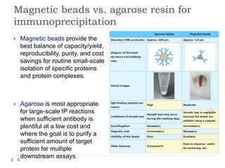 IMMUNOPRECIPITATION | PPTX