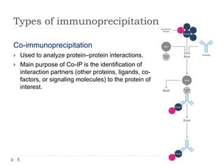 IMMUNOPRECIPITATION | PPTX