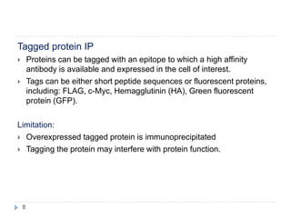 IMMUNOPRECIPITATION | PPTX | Chemistry | Science