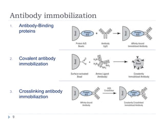 IMMUNOPRECIPITATION | PPTX