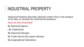 Intellectual Property in Professional Practices | PPTX