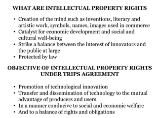 Intellectual Property Rights | PPTX