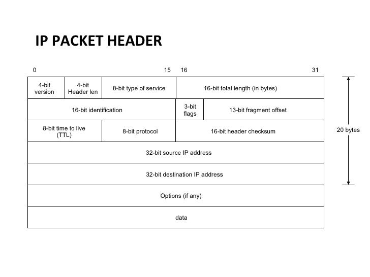 Ip Packet