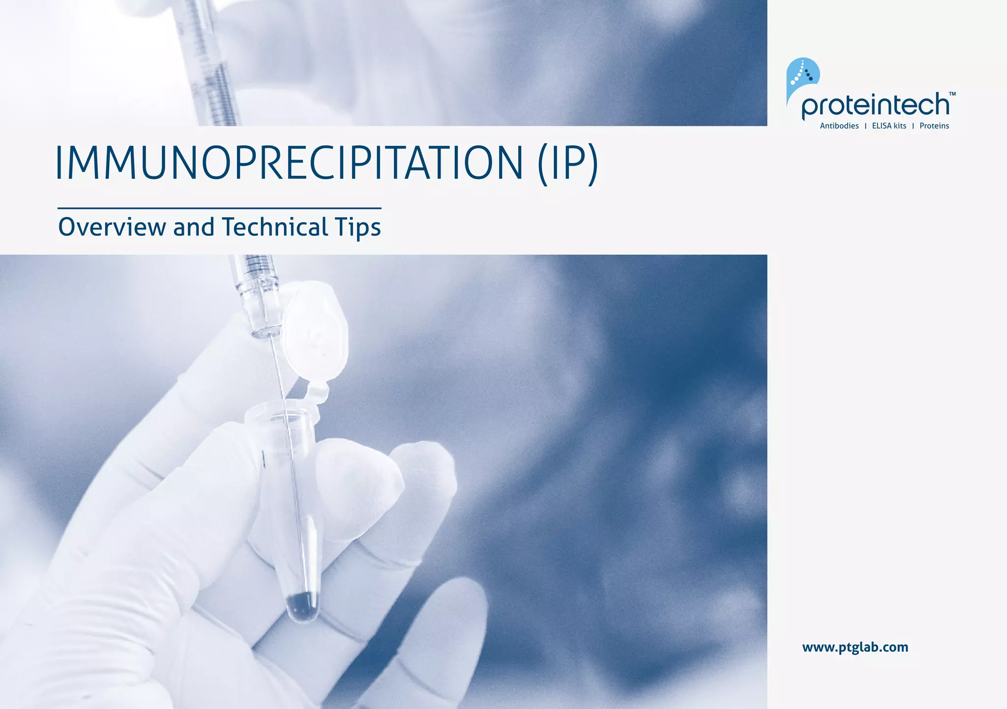 Immunoprecipitation Overview And Technical Tips Pdf