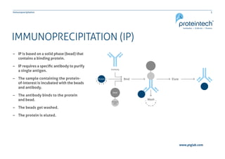 Immunoprecipitation - Overview and technical tips | PDF