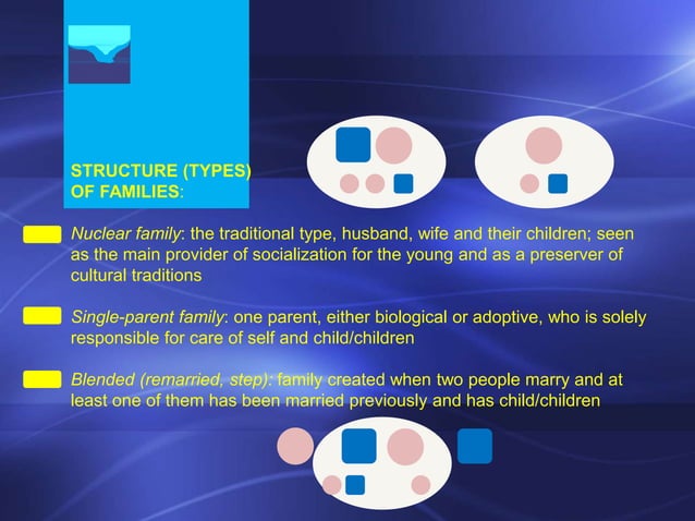 Instructional Plan1-Family-Structure1.pptx