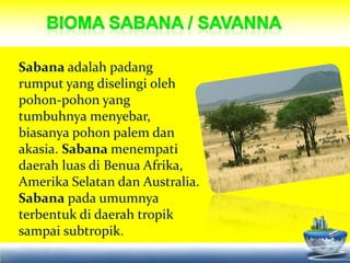 Bioma Padang Rumput | PPTX