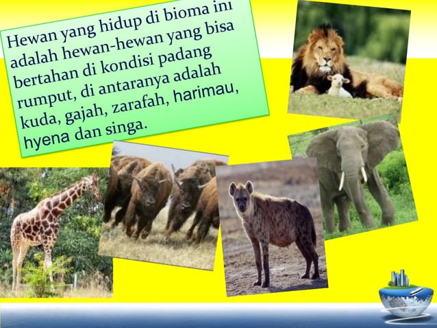 Bioma Padang Rumput | PPTX