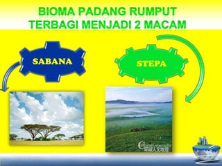 Bioma Padang Rumput | PPTX