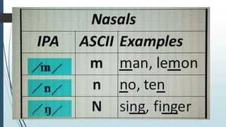 International Phonetic Alphabet | PPT