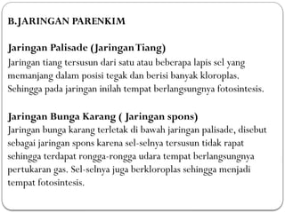 fungsi organ daun pada tumbuhan dan bagiannya.pptx