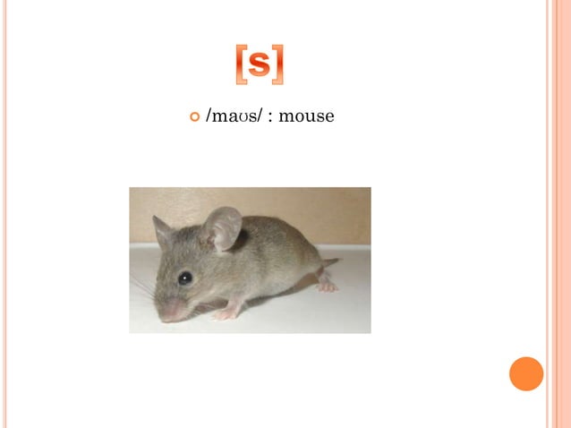 Ipa consonants | PPT | Free Download