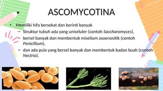 IPA - KELAS 7 - KINGDOM FUNGI PLANTAE ANIMALIA.ppt