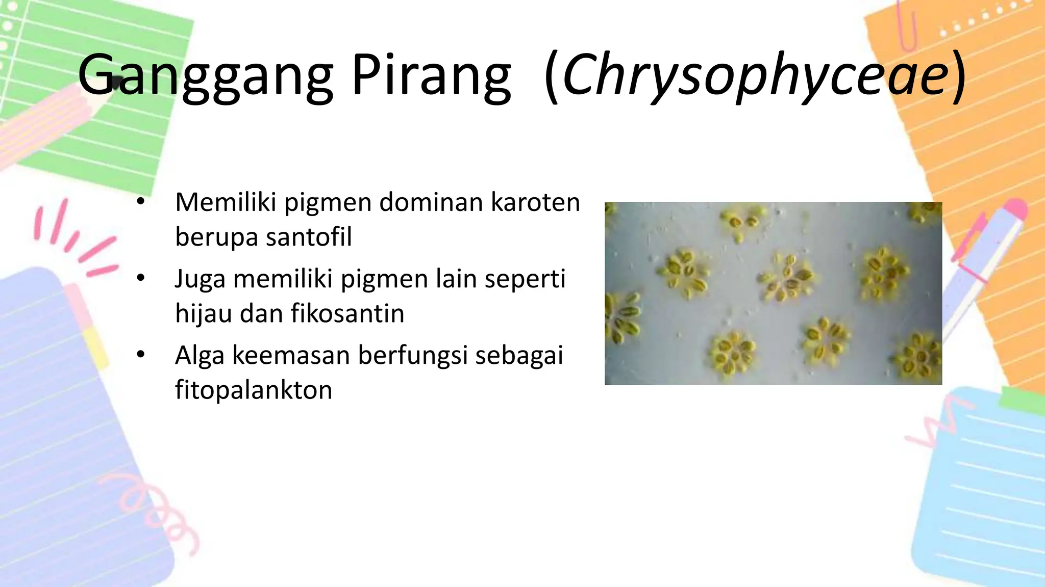 IPA - KELAS 7 - KINGDOM MONERA & PROTISTA.ppt