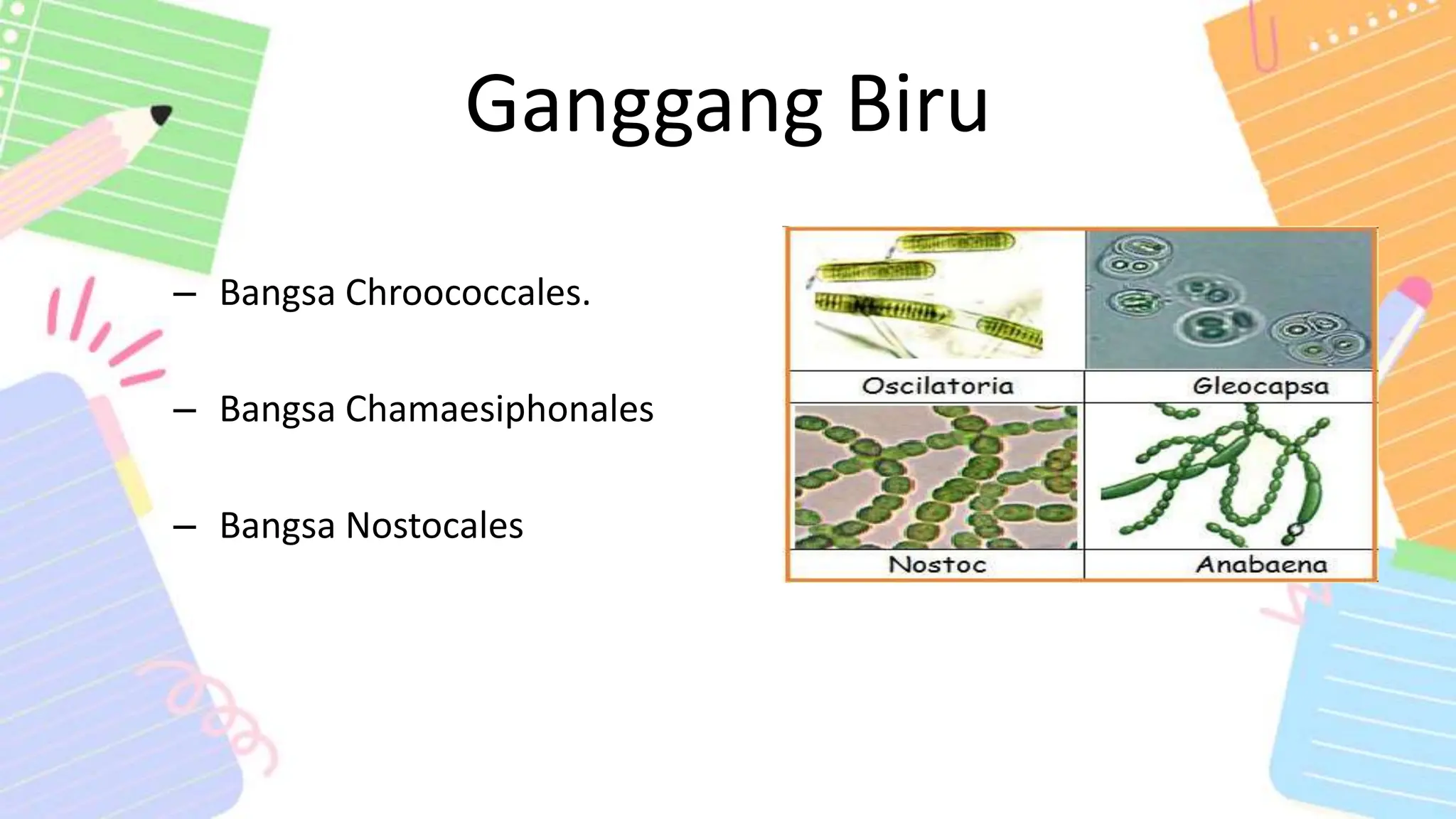 IPA - KELAS 7 - KINGDOM MONERA & PROTISTA.ppt
