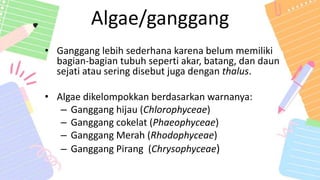 IPA - KELAS 7 - KINGDOM MONERA & PROTISTA.ppt