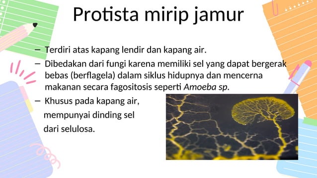 IPA - KELAS 7 - KINGDOM MONERA & PROTISTA.ppt