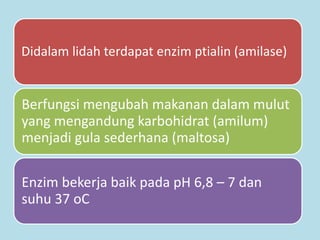 IPA-KELAS 8 - SISTEM PENCERNAAN PADA MANUSIA 2.pptx