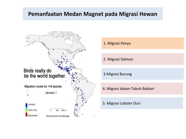 IPA-KELAS 9 - KEMAGNETAN (1).pptx