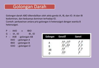 IPA-KELAS 9 nasional- PERSILANGAN DIHIBRID.pptx