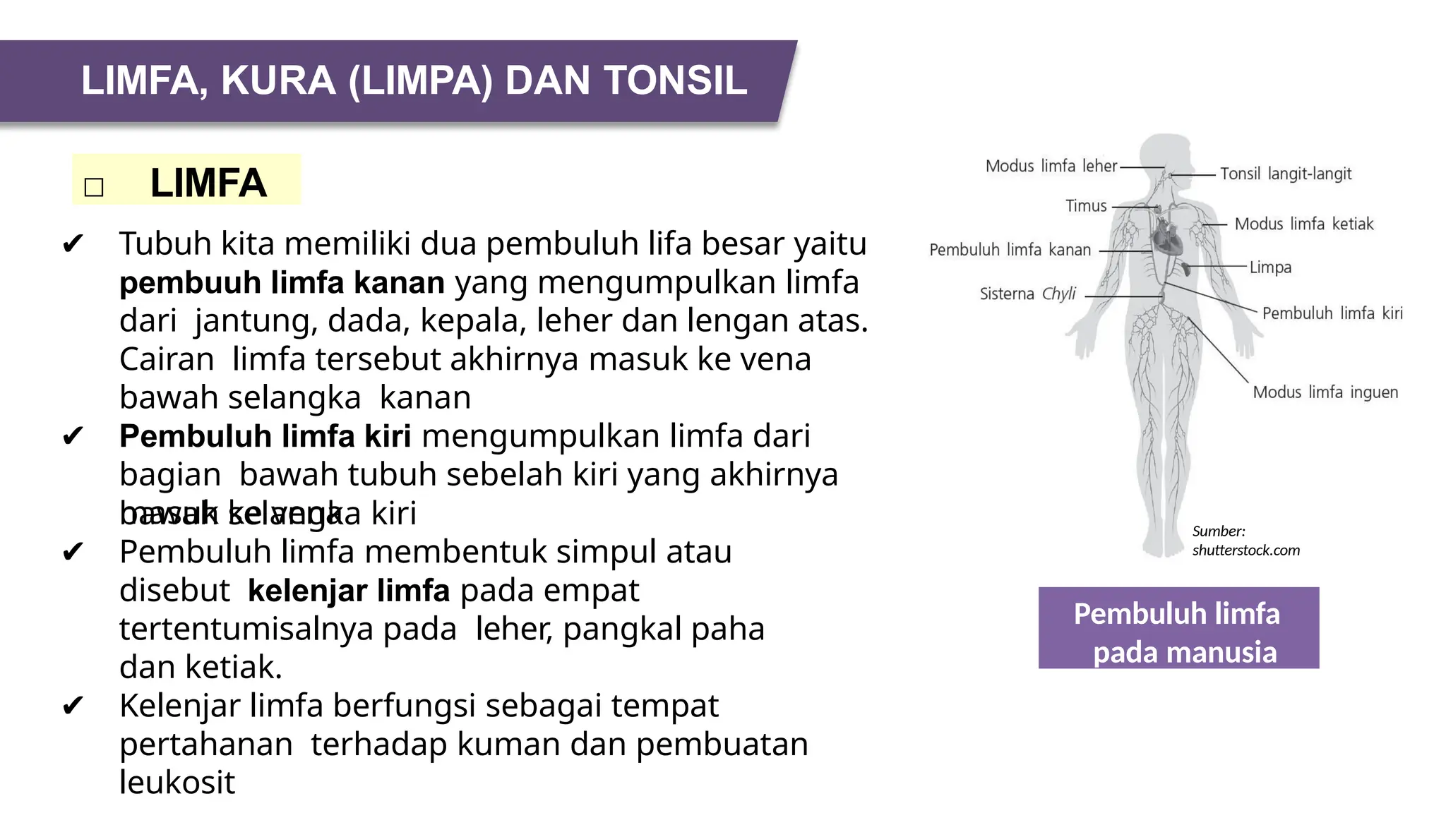 IPA-MATERI-STRUKTUR-DAN-FUNGSI-TUBUH-MANUSIASMP.pptx