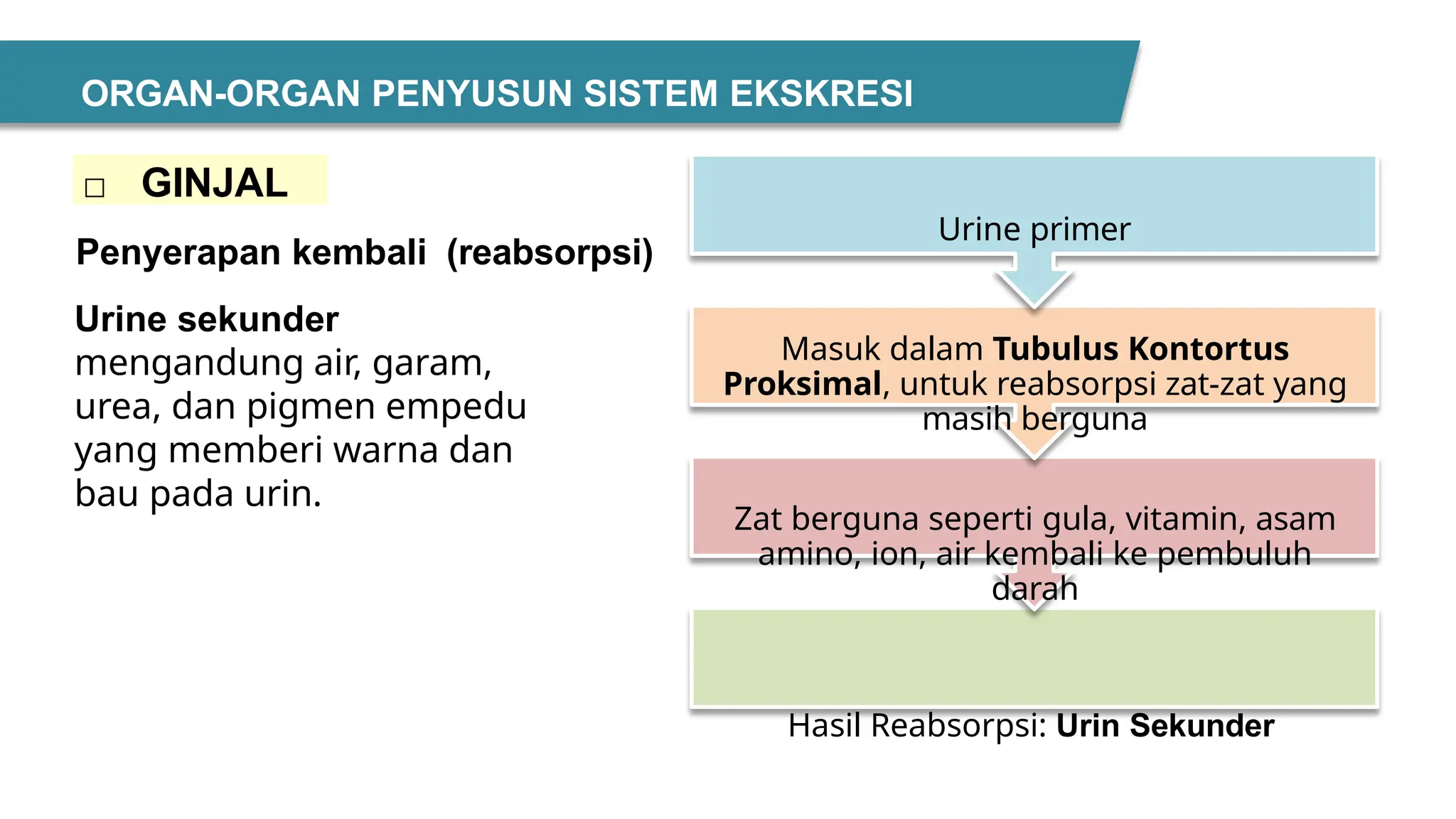 IPA-MATERI-STRUKTUR-DAN-FUNGSI-TUBUH-MANUSIASMP.pptx