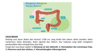 IPA-MATERI-STRUKTUR-DAN-FUNGSI-TUBUH-MANUSIASMP.pptx
