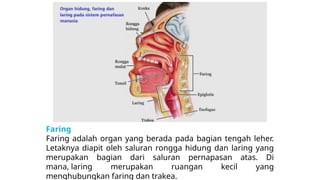IPA-MATERI-STRUKTUR-DAN-FUNGSI-TUBUH-MANUSIA.pptx