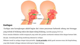 IPA-MATERI-STRUKTUR-DAN-FUNGSI-TUBUH-MANUSIA.pptx