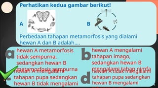 IPA P6 sekolah dasar kelas sd untuk siswa siswa belajar | PPT