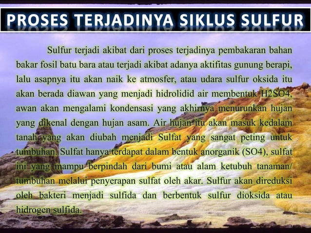 SIKLUS SULFUR - By. Vanessa W | PPTX