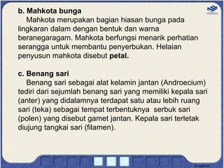 struktur-jaringan-tumbuhan.ppt