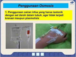 ipa-terpadu-viii-bab-8-tekanan-pada-zat-cair.pptx
