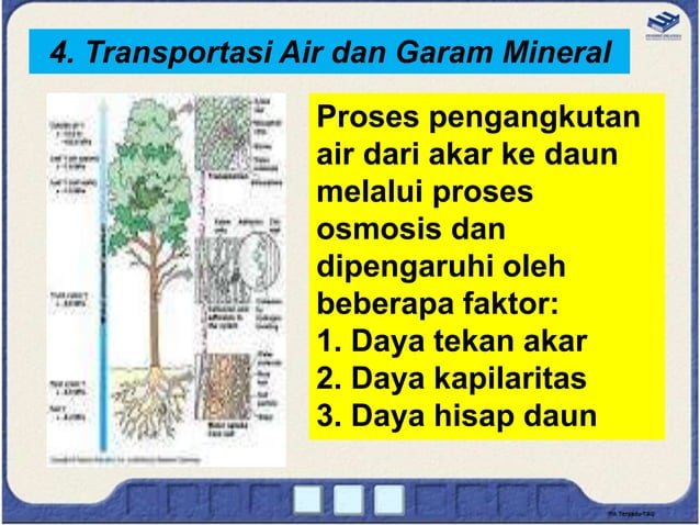 ipa-terpadu-viii-bab-8-tekanan-pada-zat-cair.pptx
