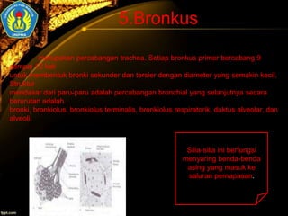 SISTEM PERNAPASAN PADA MANUSIA | PPTX