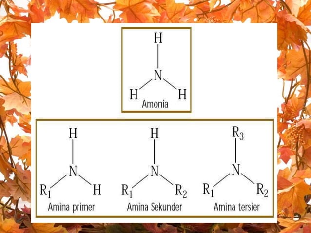 Gugus Hidrokarbon tentang Amina | PPT
