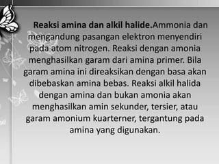Gugus Hidrokarbon tentang Amina | PPTX