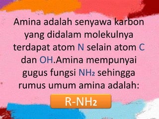 Gugus Hidrokarbon tentang Amina | PPTX